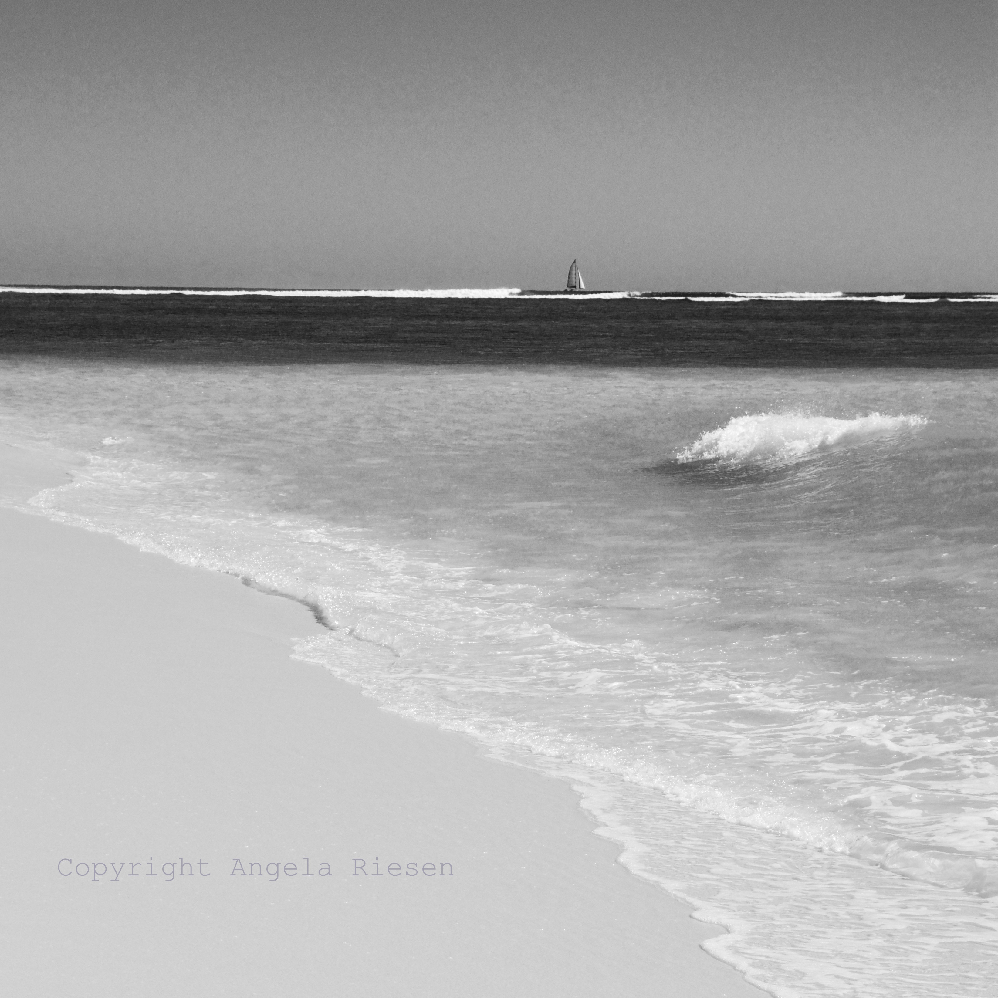 DSC_0390 copy | angelariesen.com